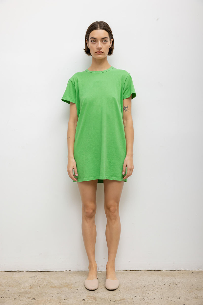 LESET Margo Dress in Grass in Cotton
