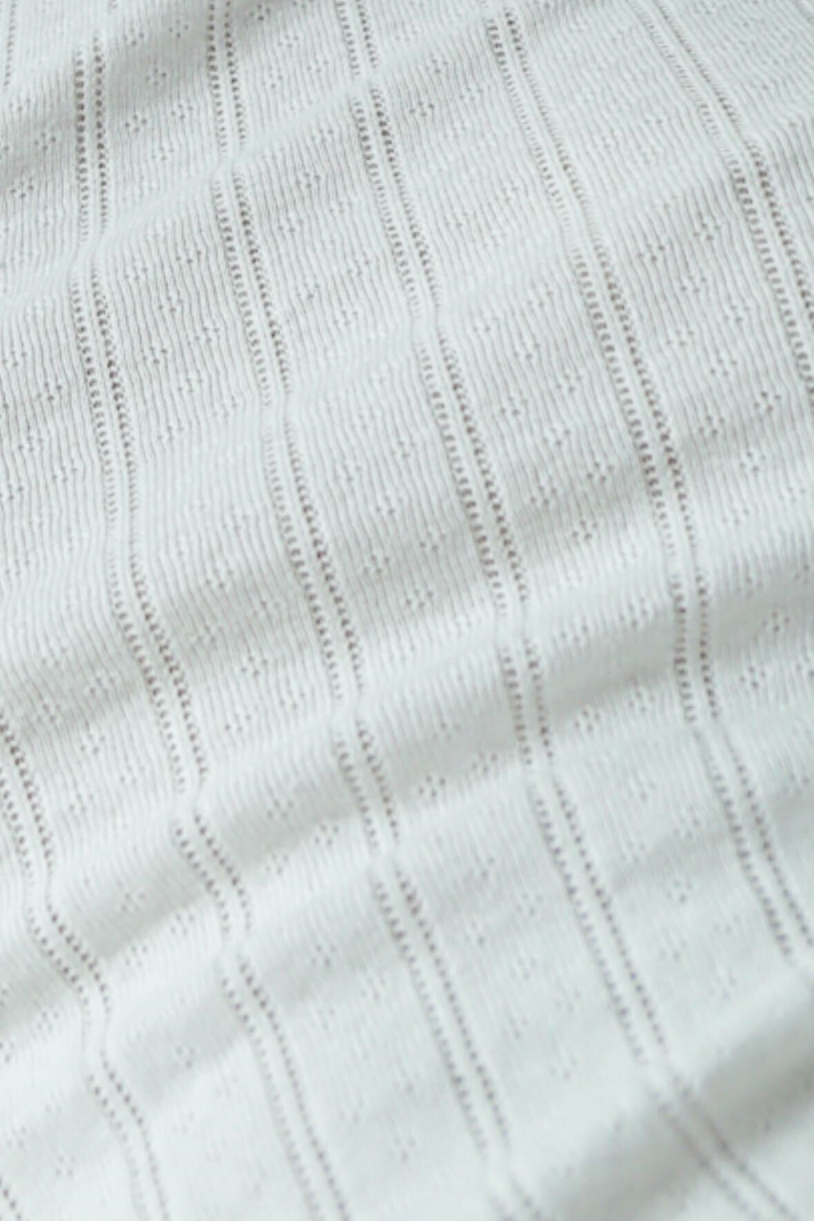 Pointelle Slim Fit Tee – LESET